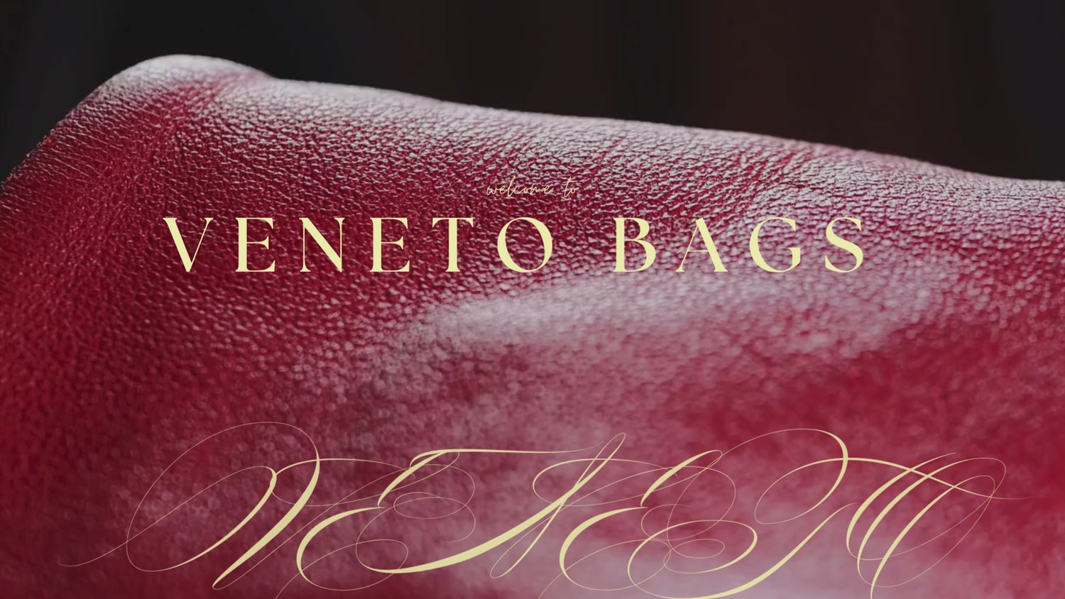 Women High-Quality Fashion Designed Italian Leather Handbags – Veneto ...